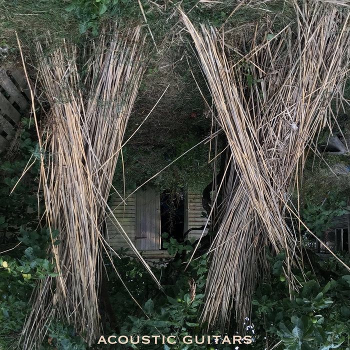 electric henhm | hen.hm