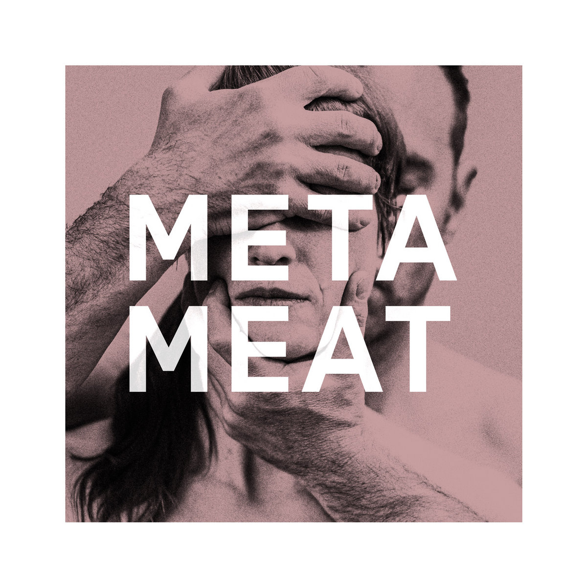 voices | Meta Meat | ant-zen
