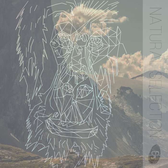 Natural Selection | Primate | SmallPrint Recordings