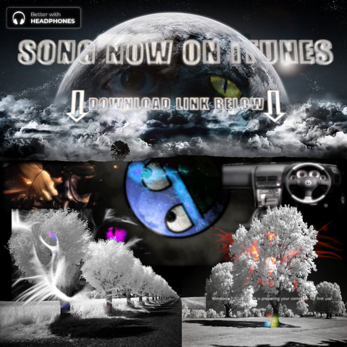 Dark Graphics Show | 7 Directions Edited