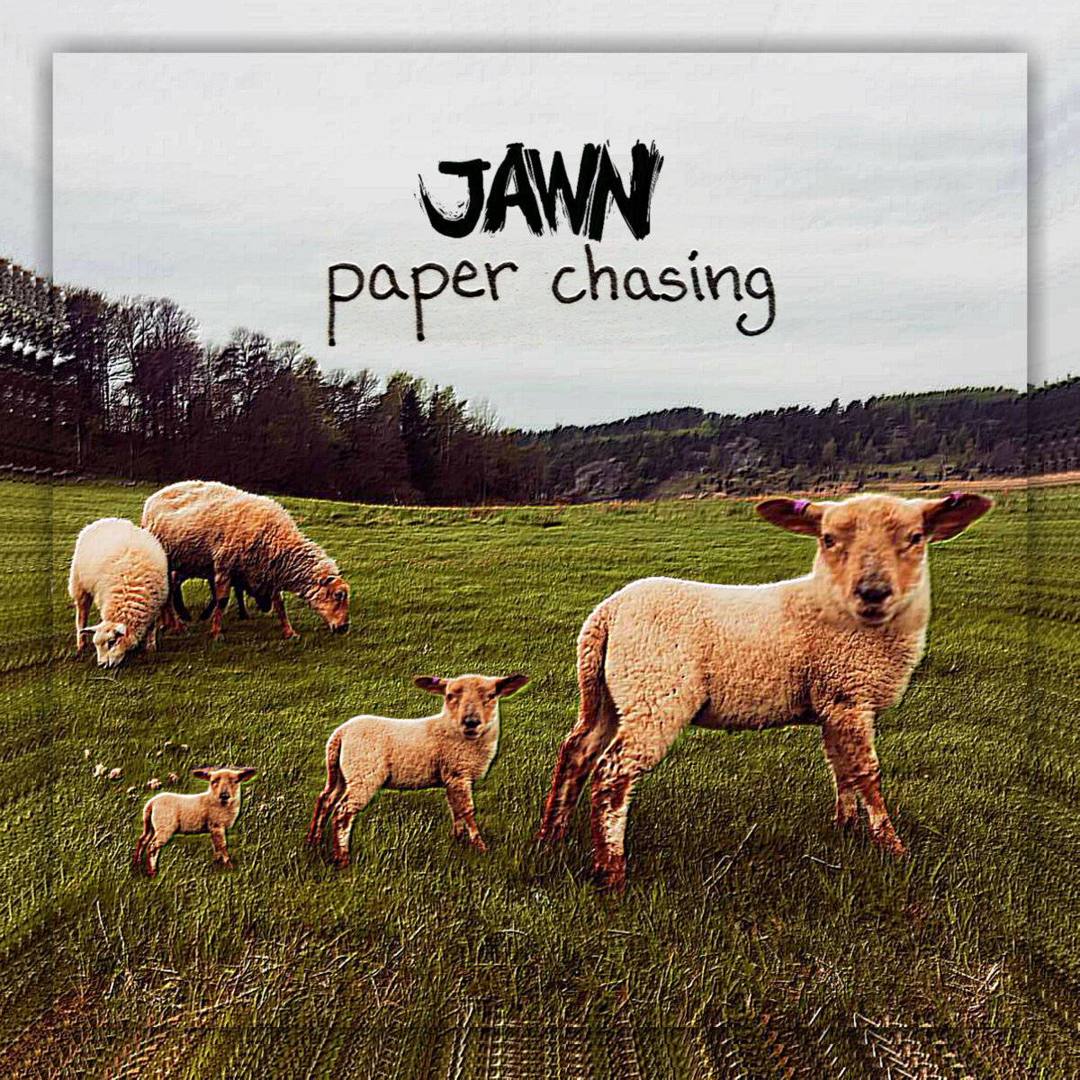 Paper Chasing | JAWN