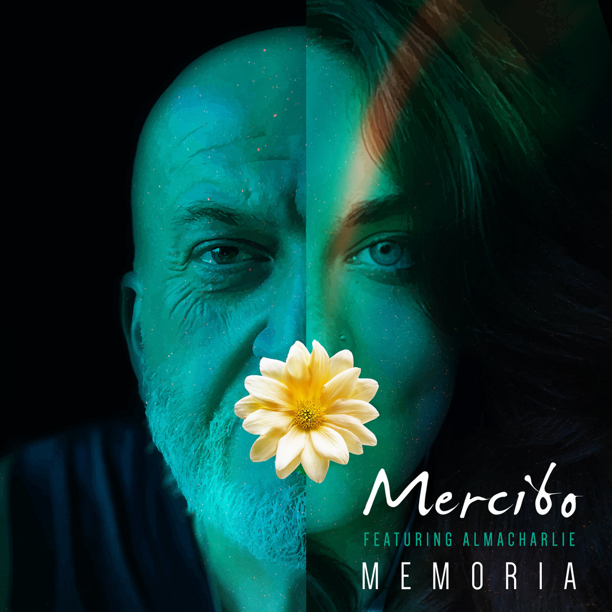Memoria | Mercibo