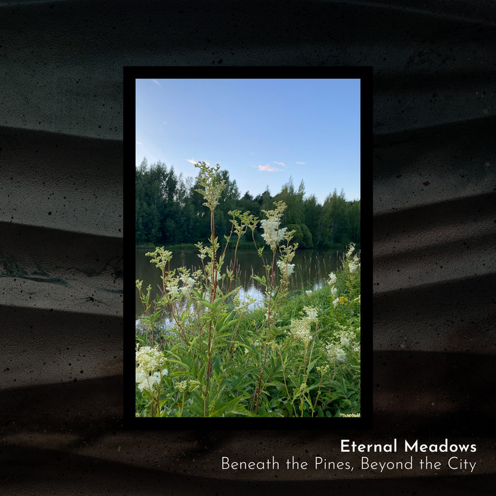 Beneath the Pines, Beyond the City | Eternal Meadows