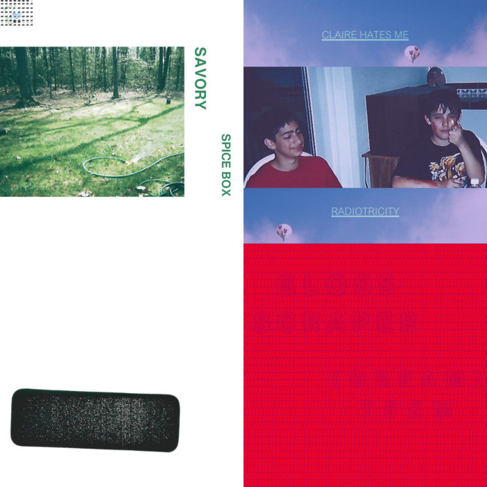 Songs About Girls and Dogs - Winter Sampler | Matt Burden