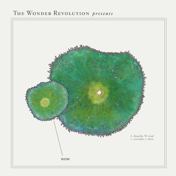 wow | The Wonder Revolution