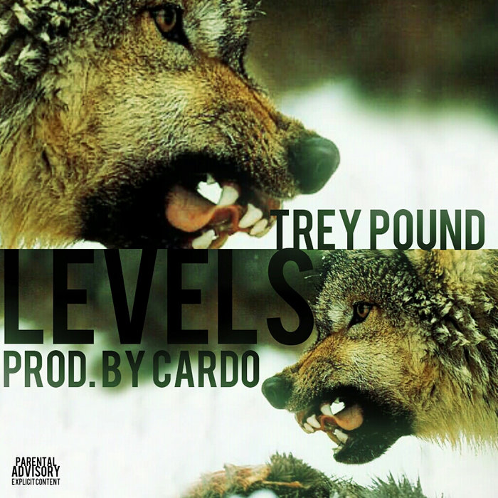 Trey Pound - Levels (Freestyle) Prod. By Cardo | trey pound, Meek mill ...