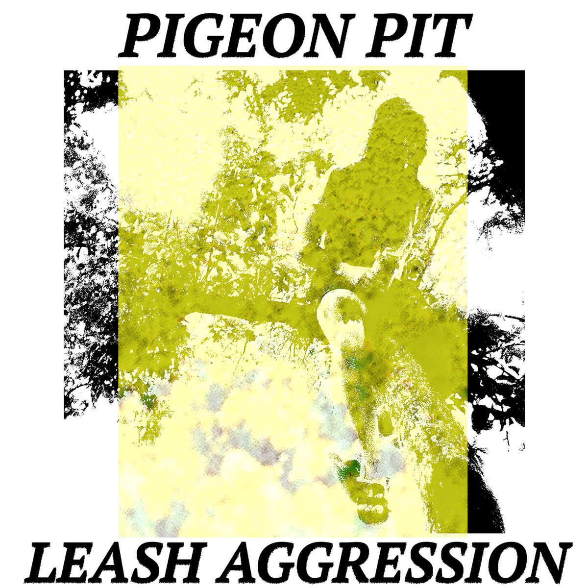 go ahead then! beat me to death! | pigeon pit