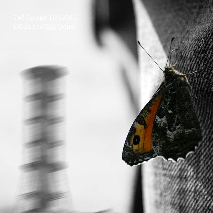 Dead Strings Echo | The Icarus Descent