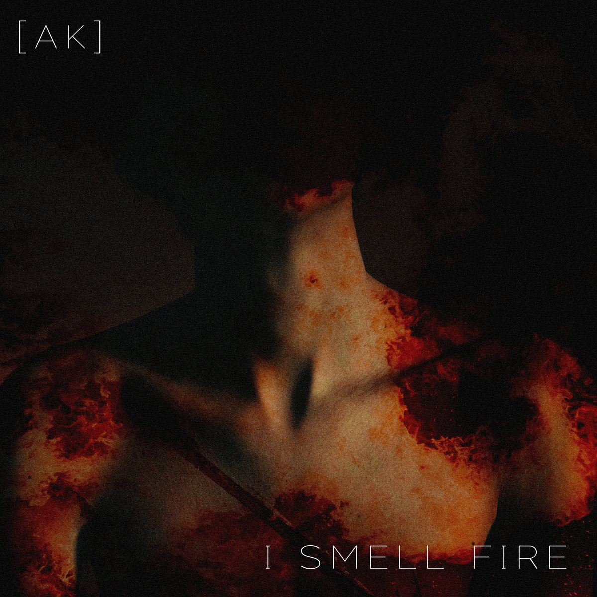 I Smell Fire - Single | Austin King