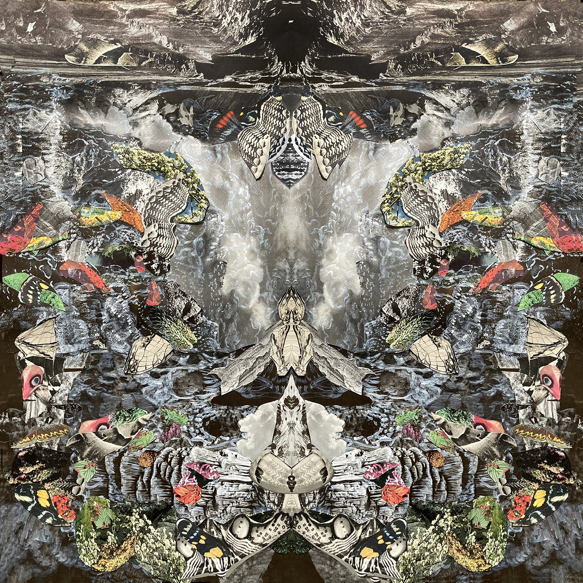 11/18/2022 Live At HM157 | Elf Freedom | Appleseed Archive