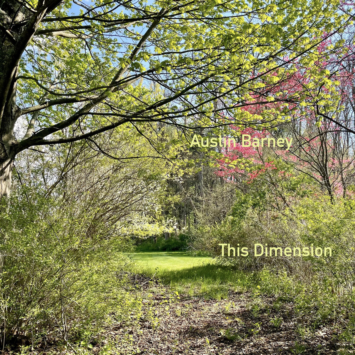 This Dimension | Austin Barney