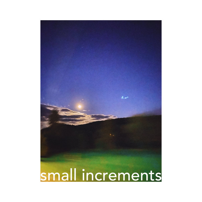 Small Increments | Amelia Wilcox