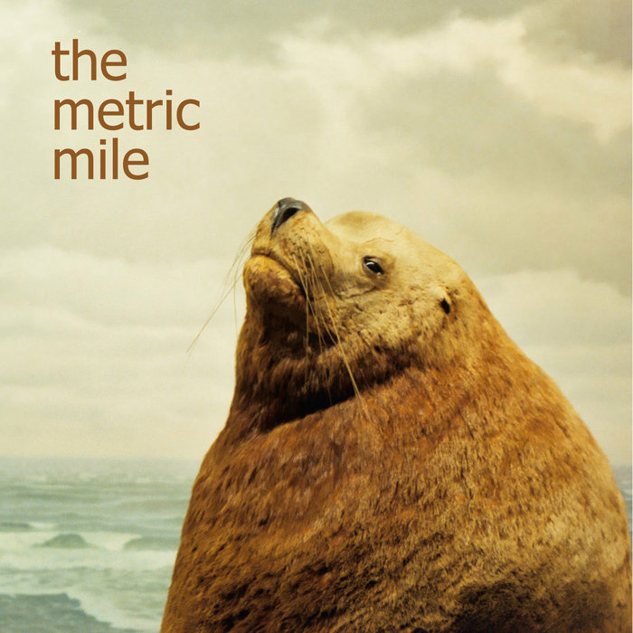 How to Beat the SAT | The Metric Mile