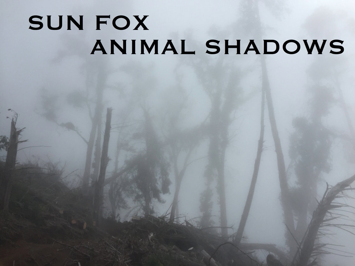 Animal Shadows | SunFox