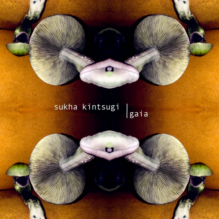 GAIA | sukha kintsugi