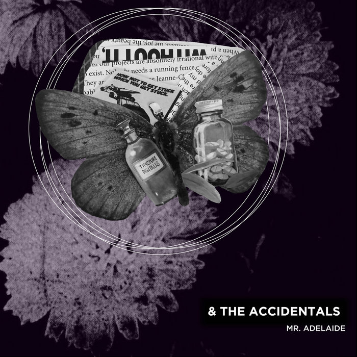 & The Accidentals | Mr. Adelaide