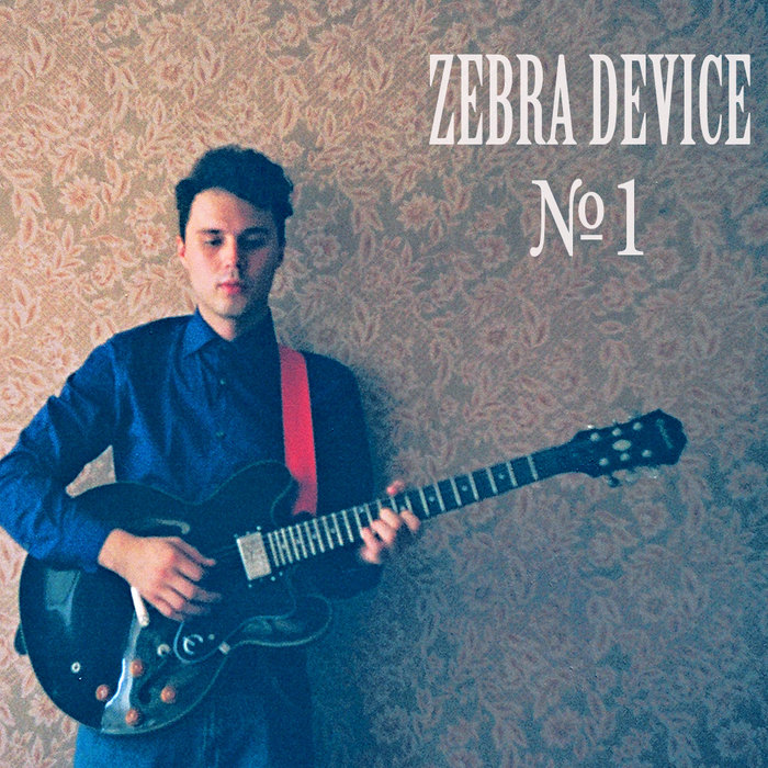 №1 | ZEBRA DEVICE