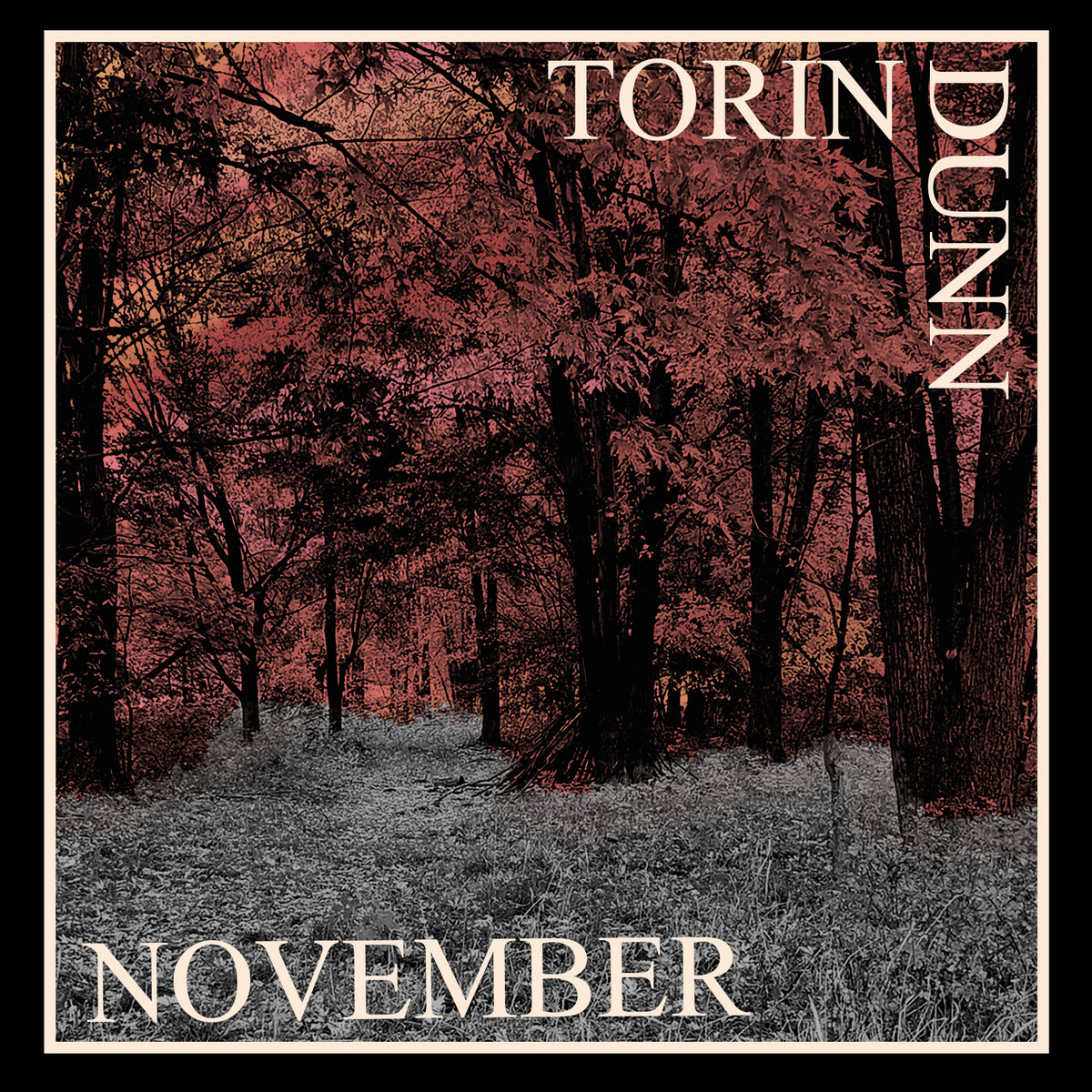 November | Torin Dunn