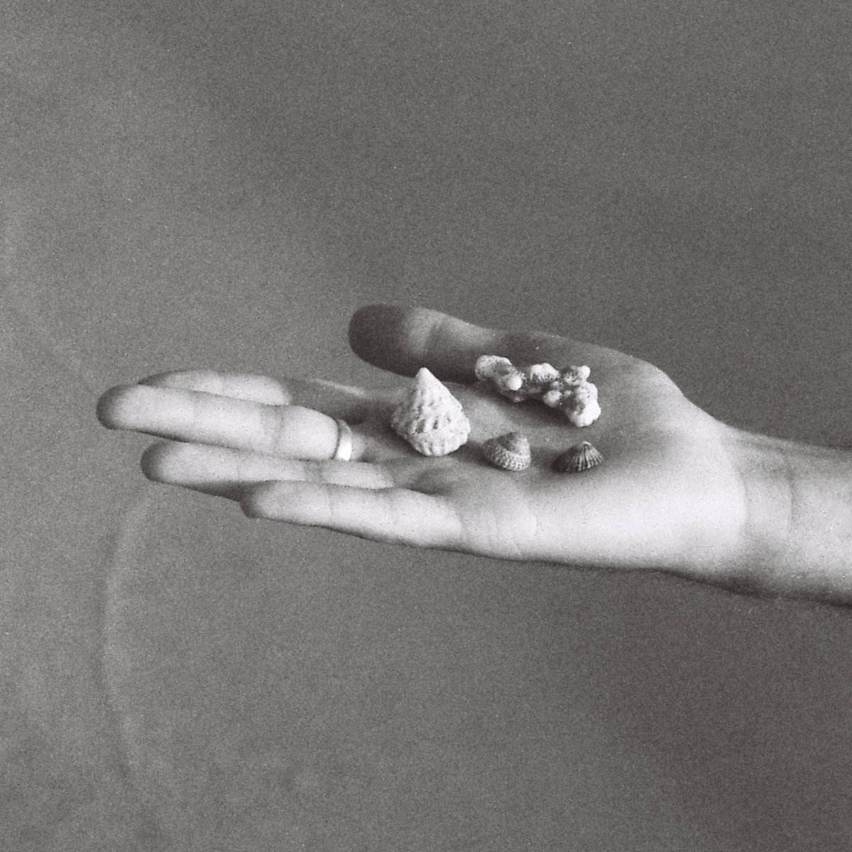 Well Wasted Time | Layday