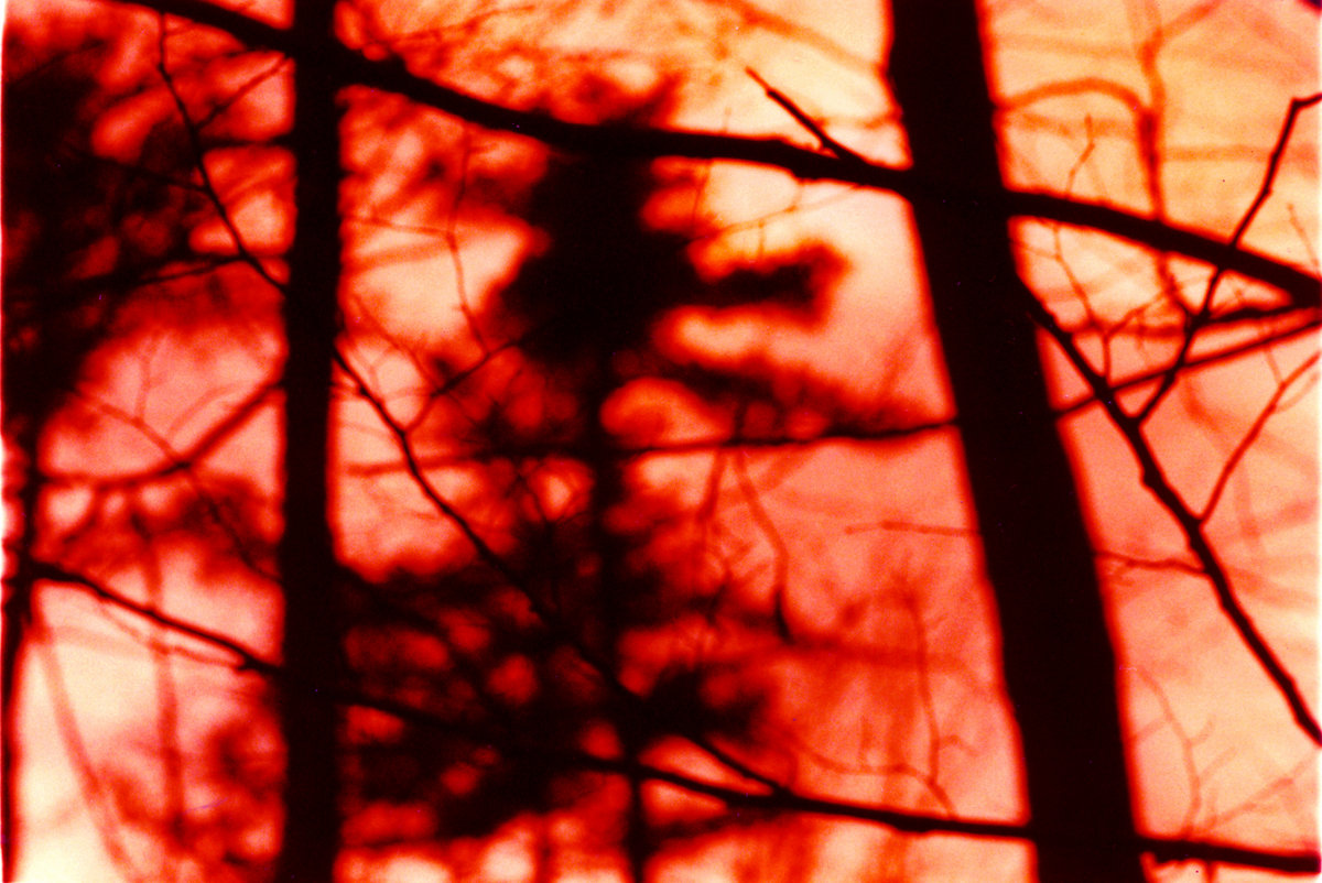 The Execution | Jesse Sprinkle