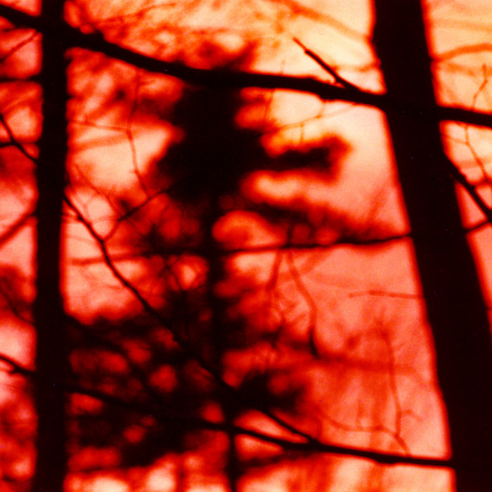 The Execution | Jesse Sprinkle