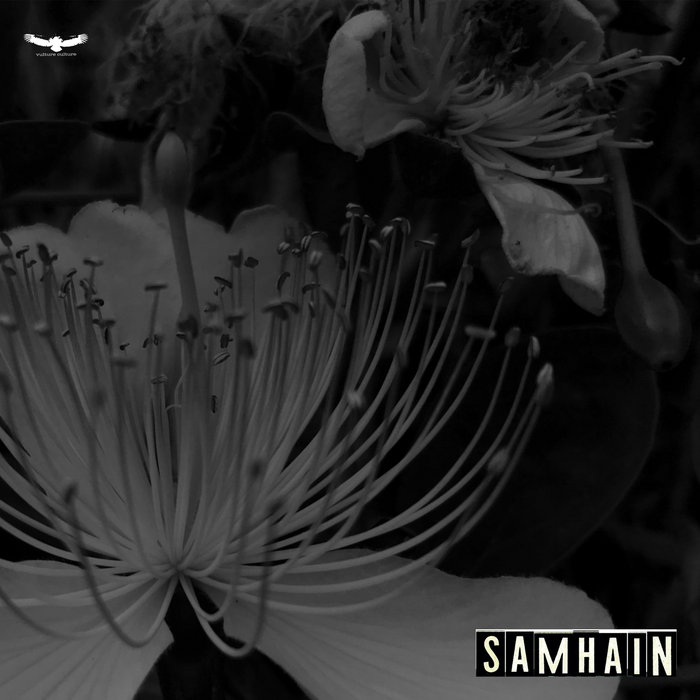 Samhain compilation 2021 | Vulture Culture