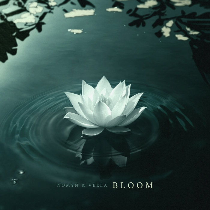 Nomyn & Veela - Bloom | Nomyn