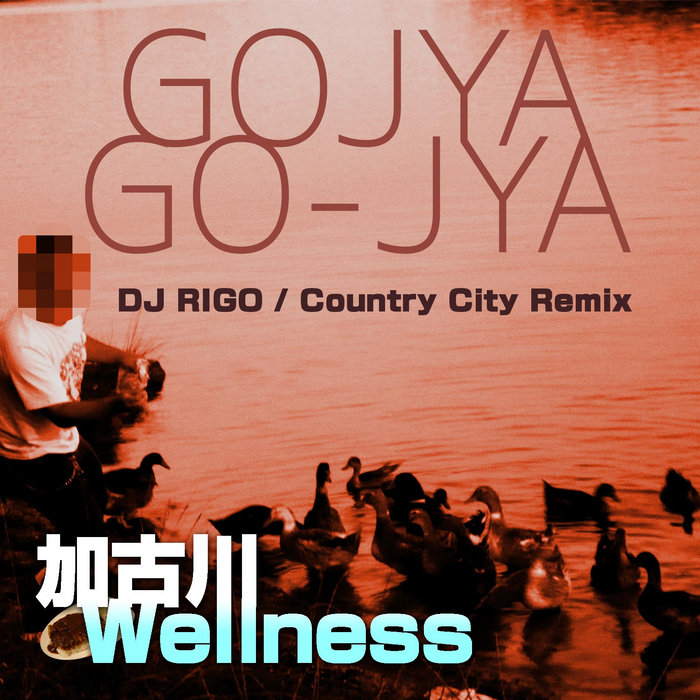 GOJYA GO-JYA DJ RIGO Country City Remix | 加古川Wellness | DJ RIGO