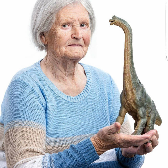 Some Old Ladies Just Don't Like Dinosaurs (Single) | Dinosaur Love