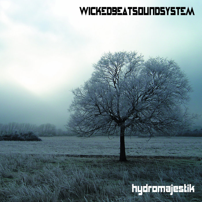 Hydromajestik | wicked beat sound system