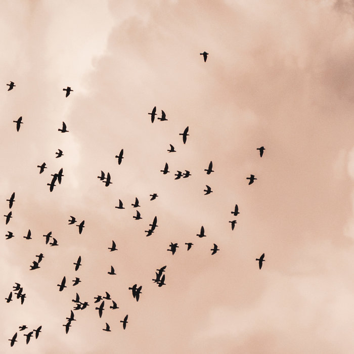 Short Commute 3 | jorgenkjellgren