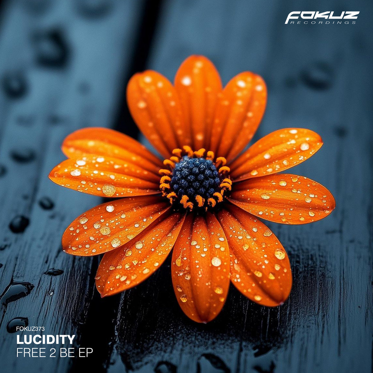 Free 2 Be EP | Lucidity | Fokuz Recordings