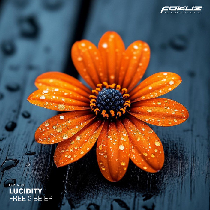 Free 2 Be EP | Lucidity | Fokuz Recordings