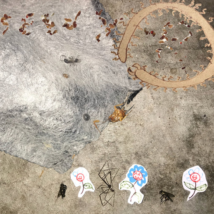 Insect Carcasses Still Life | Seedy-R