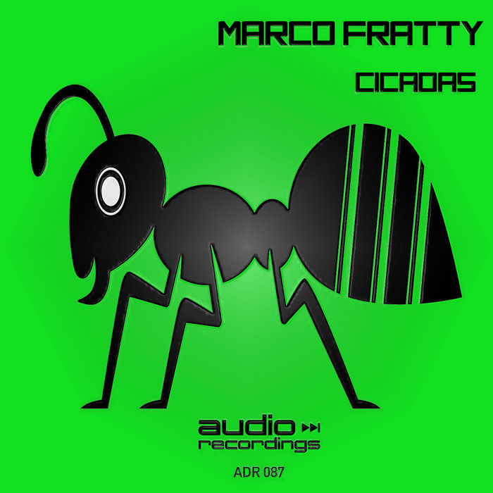 CICADAS | MARCO FRATTY | Marco Fratty