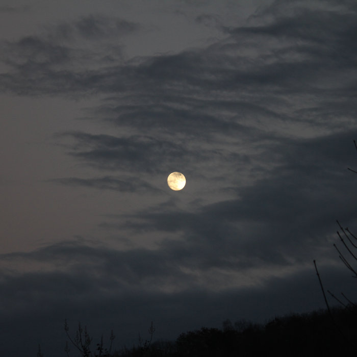 November Nights | Cove High