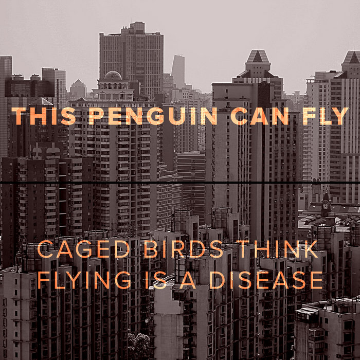 Caged Birds Think Flying is a Disease | This Penguin Can Fly