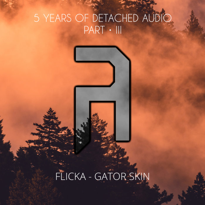 Gator Skin | Flicka | Detached Audio