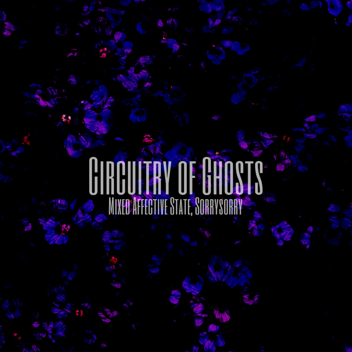 Mixed Affective State, Sorrysorry | Circuitry of Ghosts
