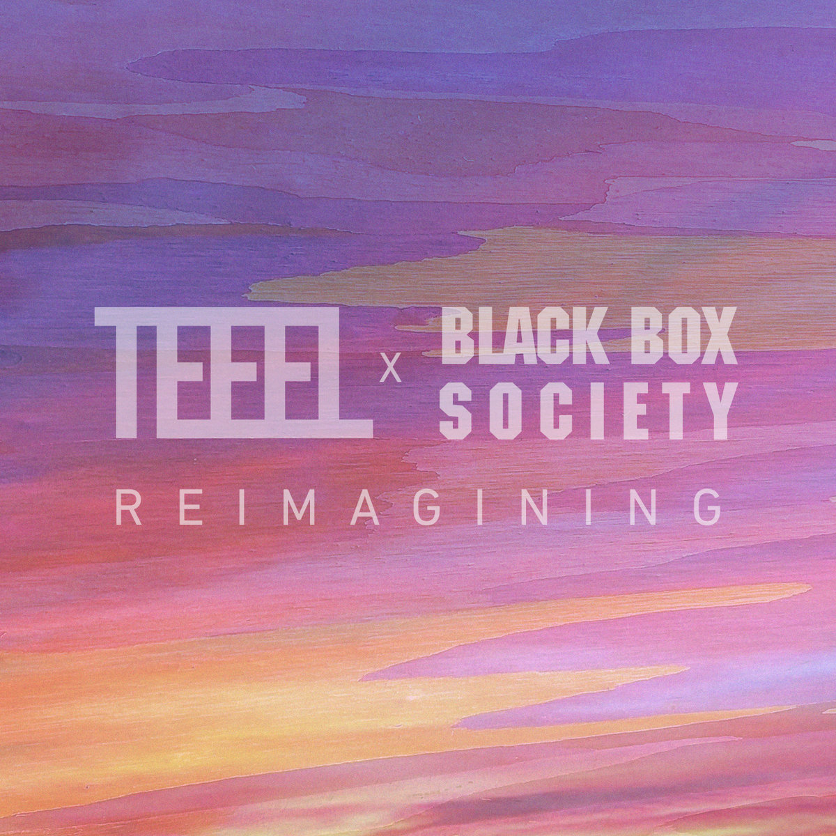 REIMAGINING | TEEEL, Black Box Society | Teeel