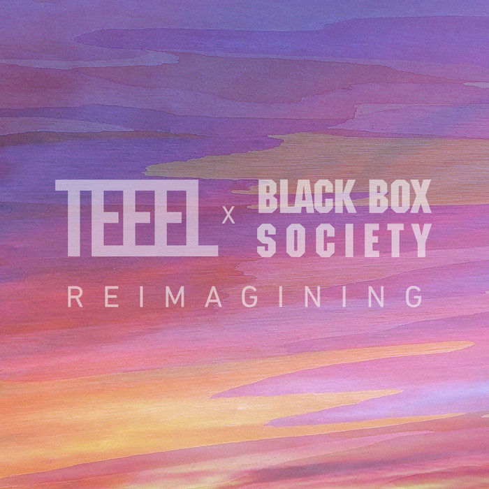 REIMAGINING | TEEEL, Black Box Society | Teeel