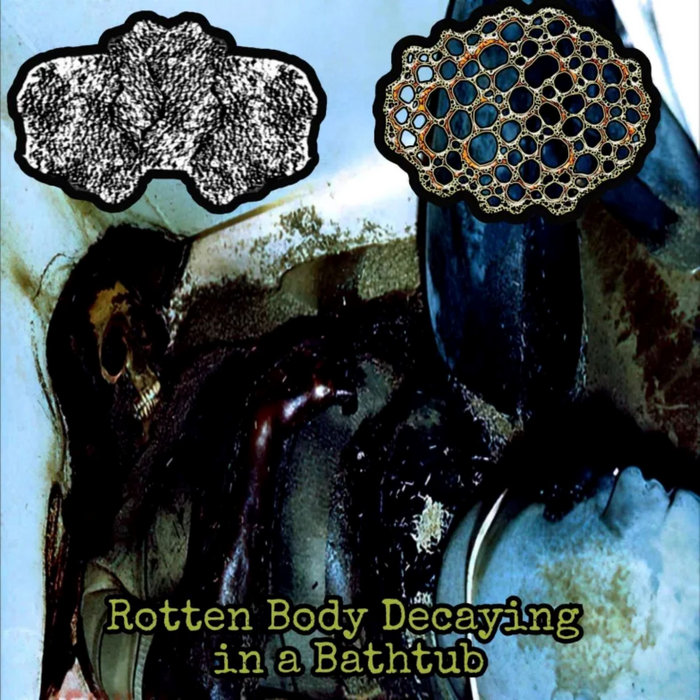 Rotten Body Decaying In A Bathtub (split with Degenerates Boiled Alive ...