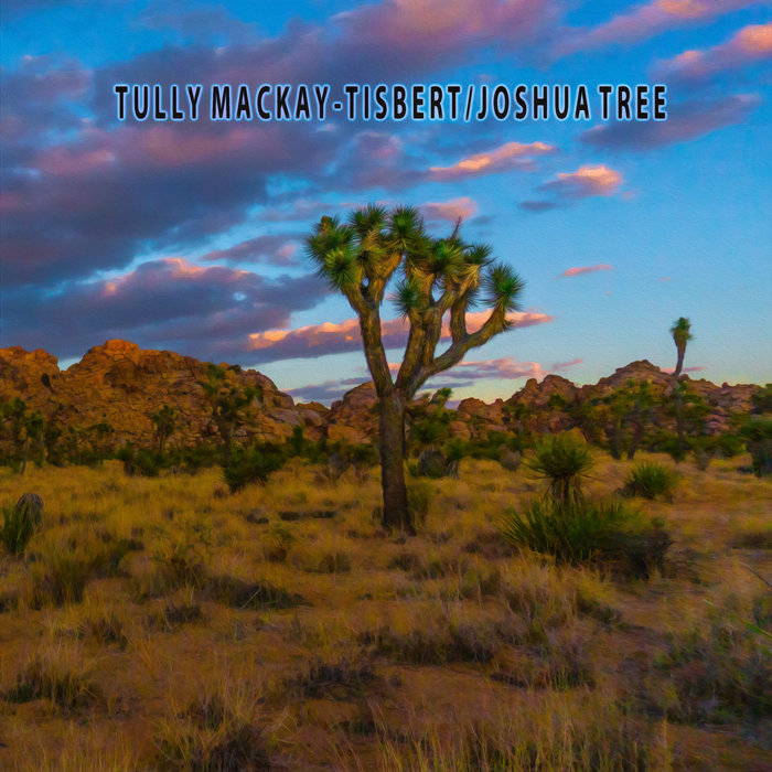 Joshua Tree | Tully MacKay-Tisbert