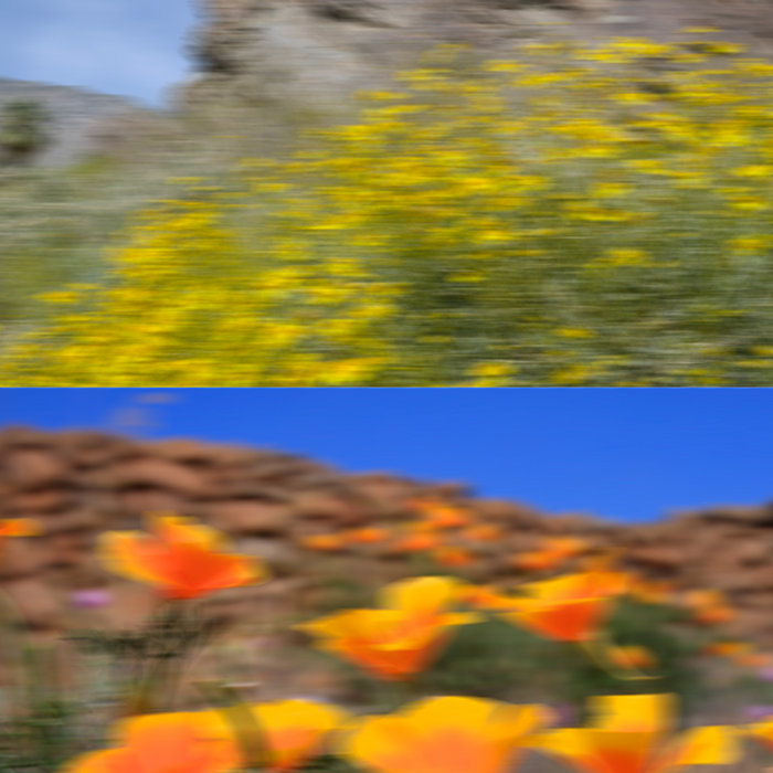 Remixes | Catching Flies