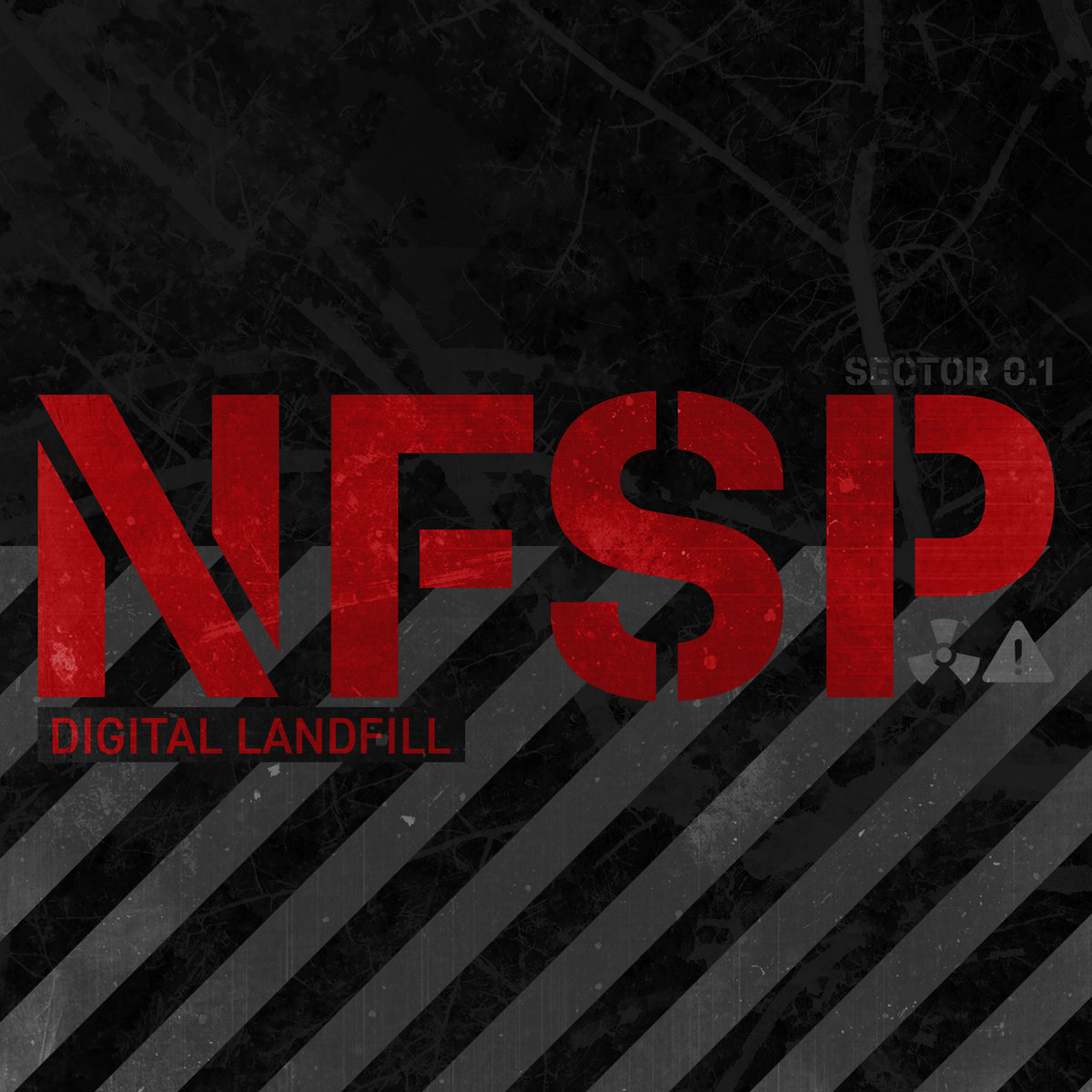 nfsp | nfsp