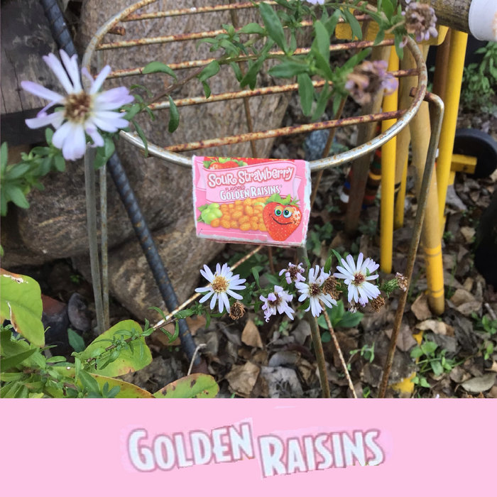 Golden Raisins | Sour Strawberry Flavored Golden Raisins