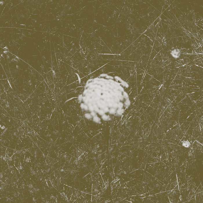 The Clear Distance | Bill Seaman and Stephen Vitiello | Bill Seaman