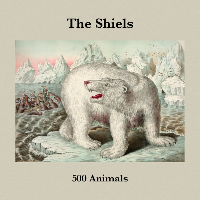 500 Animals | The Shiels