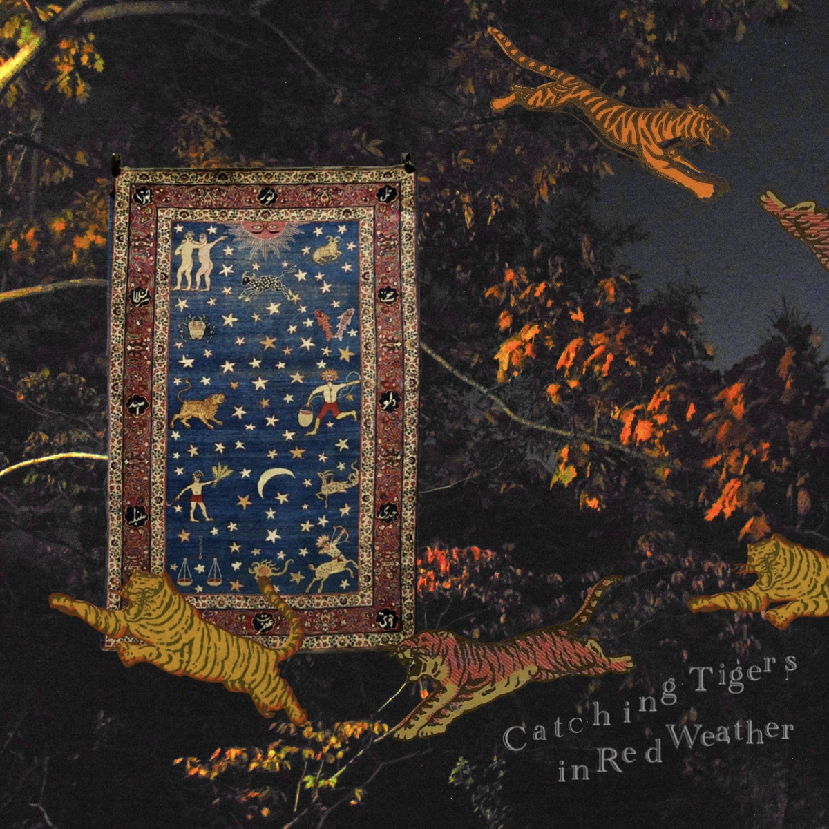 Catching Tigers in Red Weather | Trent Liptak