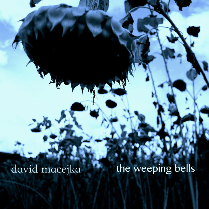 the weeping bells | david macejka / Rishi Records